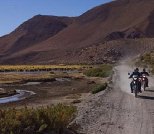 Cactus & Machuca Motorcycle Tour Half Day - San Pedro de Atacama