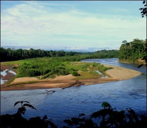 3-Day Jungle Tour (Madidi Jungle Ecolodge)