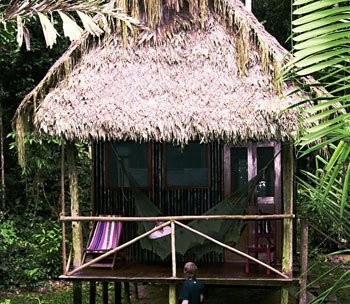 4-Day Jungle Tour (Chalalan Ecolodge)